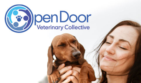 Open Door Veterinary Collective